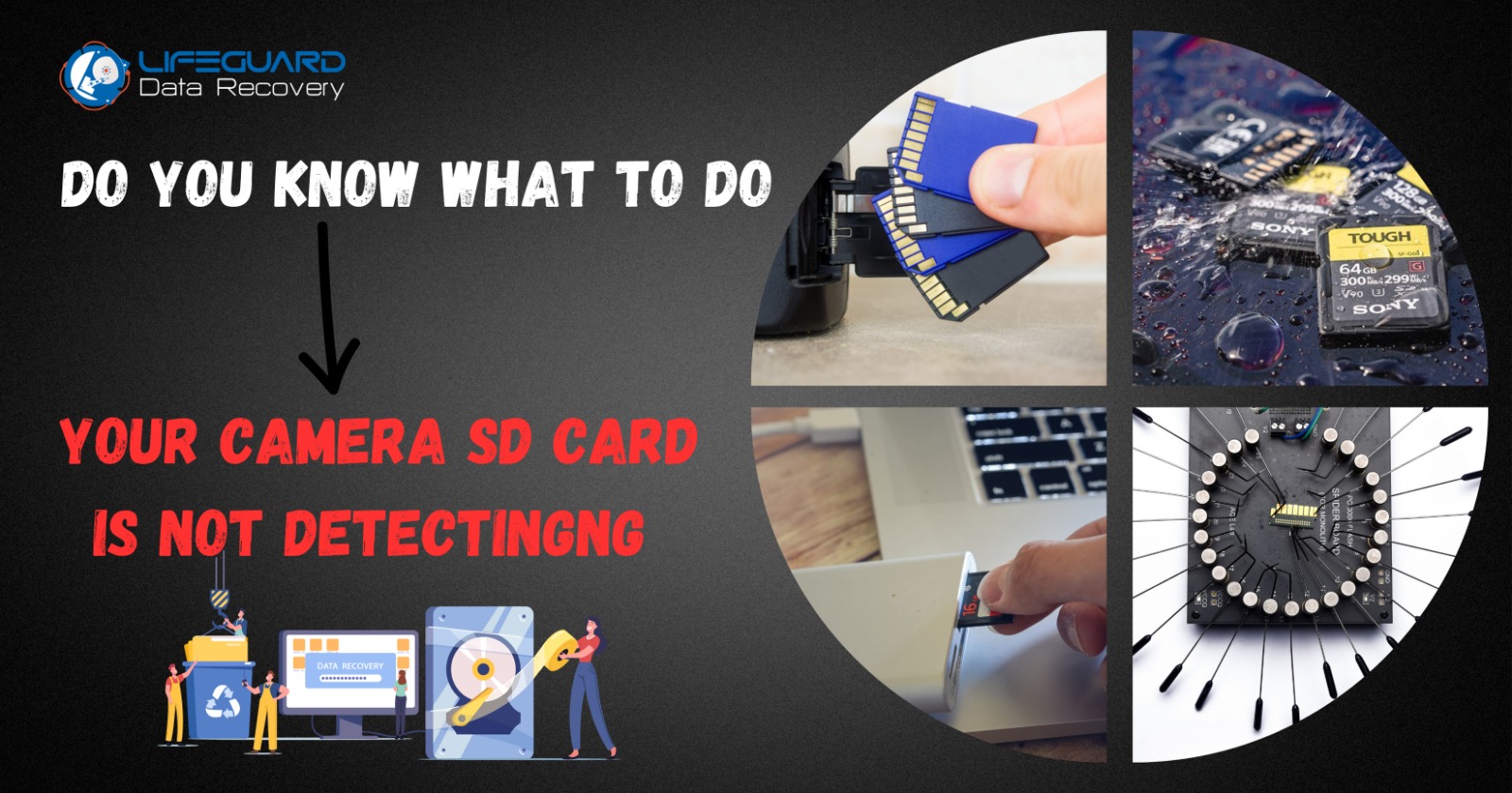 Camera SD card is not detecting (Data Recovered) - LifeGuard Data Recovery Camera SD card is not detecting (Data Recovered) - LifeGuard Data Recovery